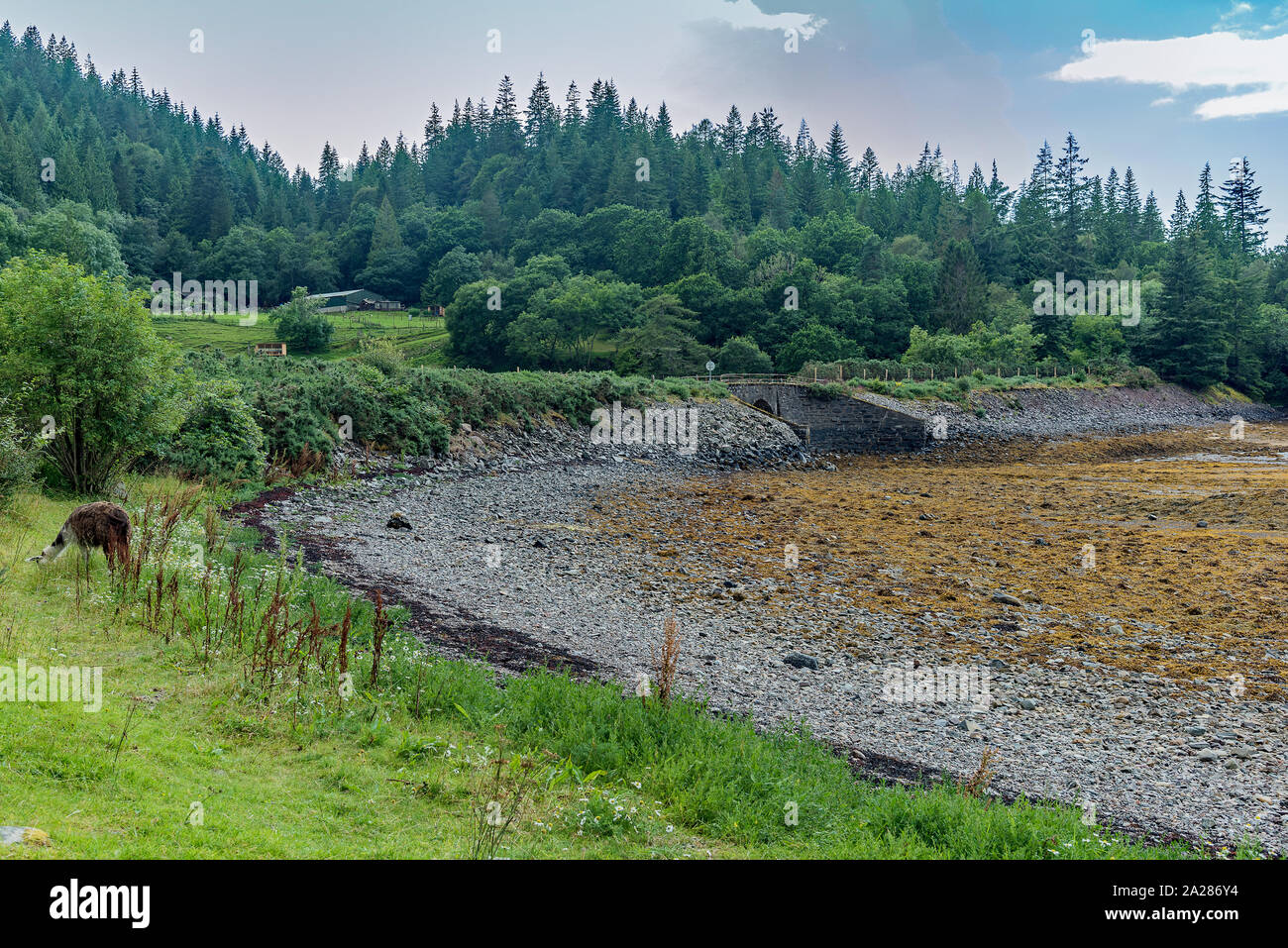 Views of Craig Highland Farm, Scotland Stock Photo - Alamy