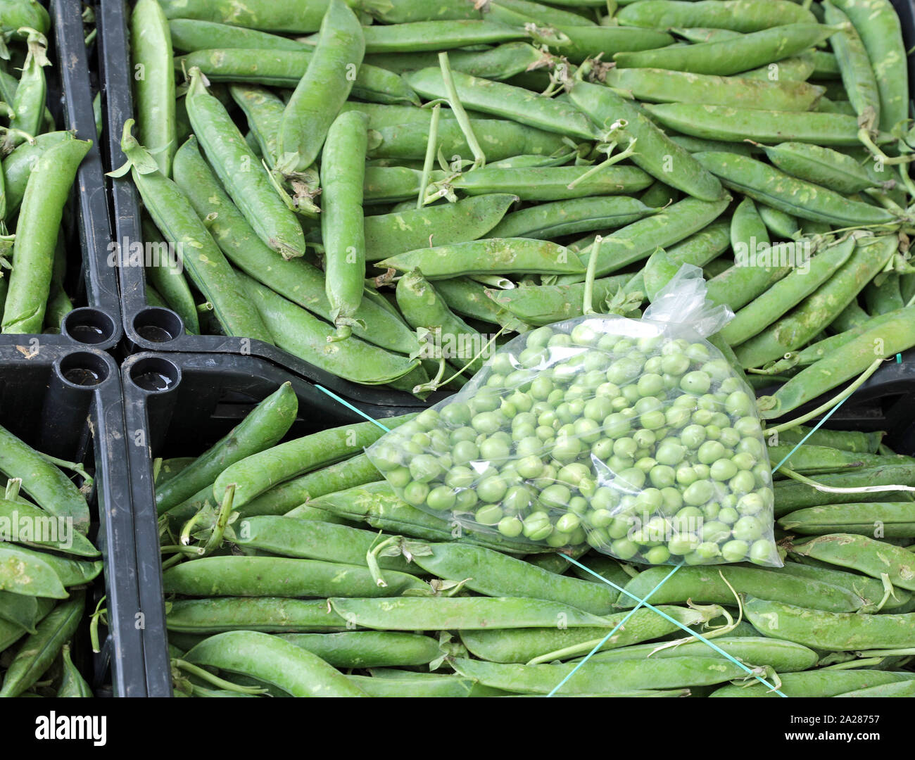 green peas in bag or in boxes for sale at supermarket of organic foods ...