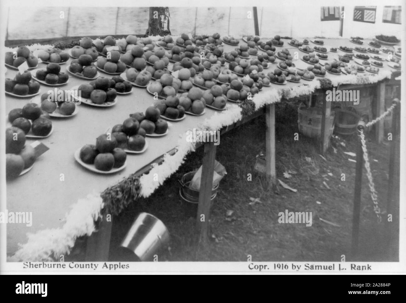 Prize winners at Sherburne County fair, Minnesota - exhibit of apples ...