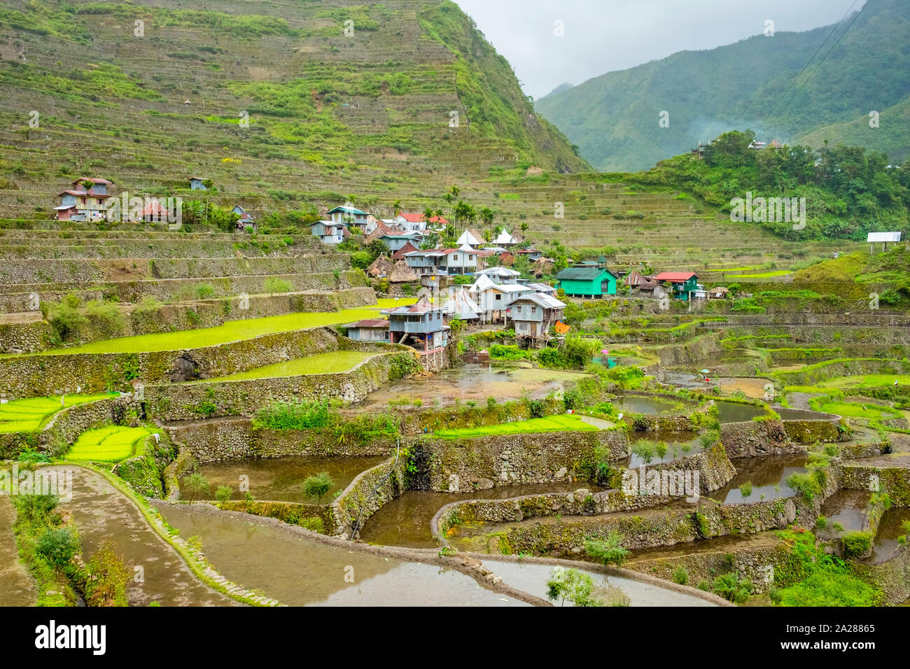 Batad village in early spring rice planting season, Banaue, Mountain ...