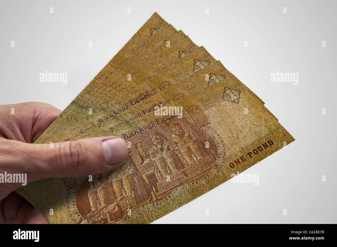 Hand holding Egyptian Pounds. EGP. Currency of Egypt Stock Photo - Alamy