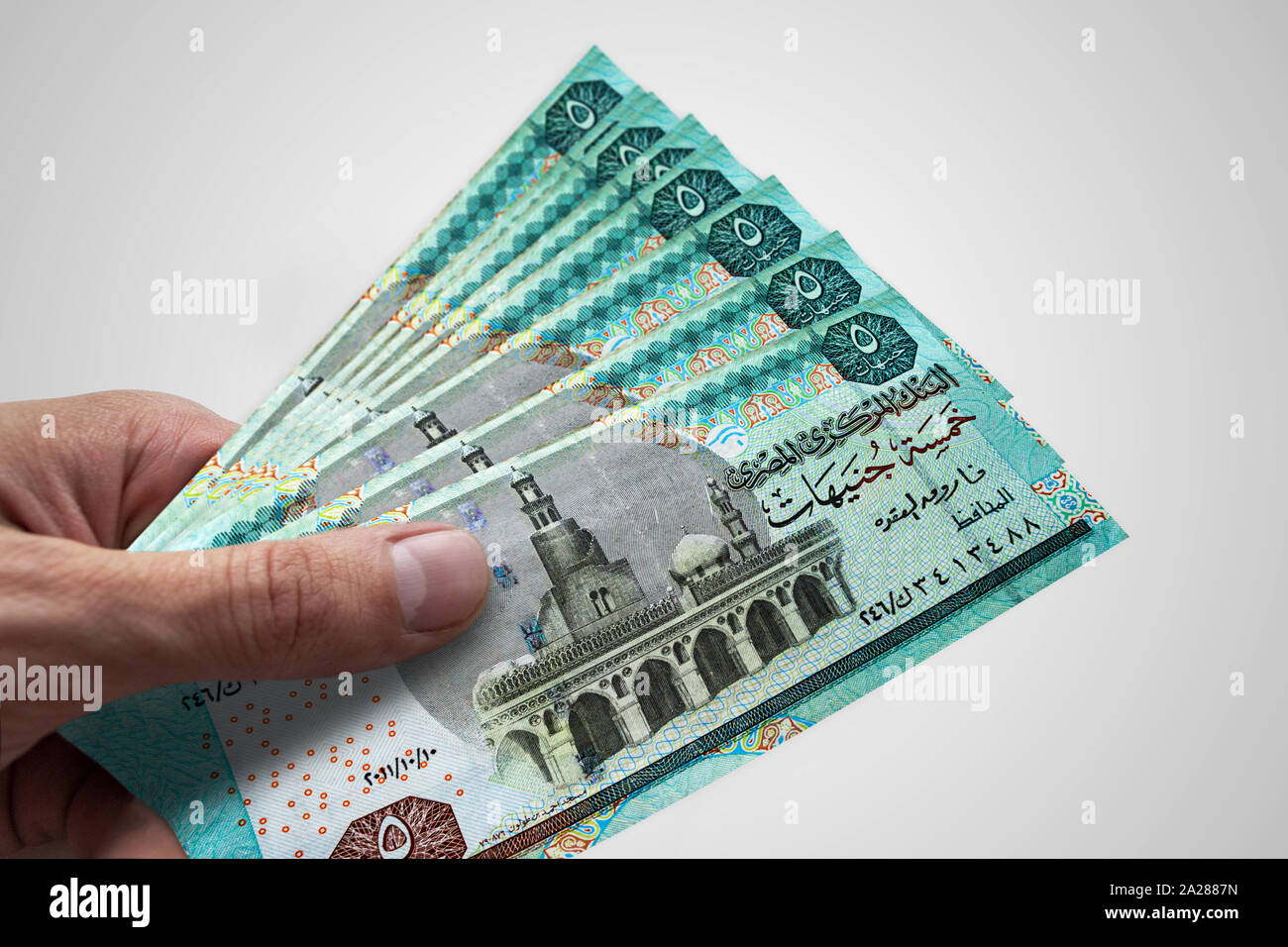 Hand holding Egyptian Pounds. EGP. Currency of Egypt Stock Photo - Alamy