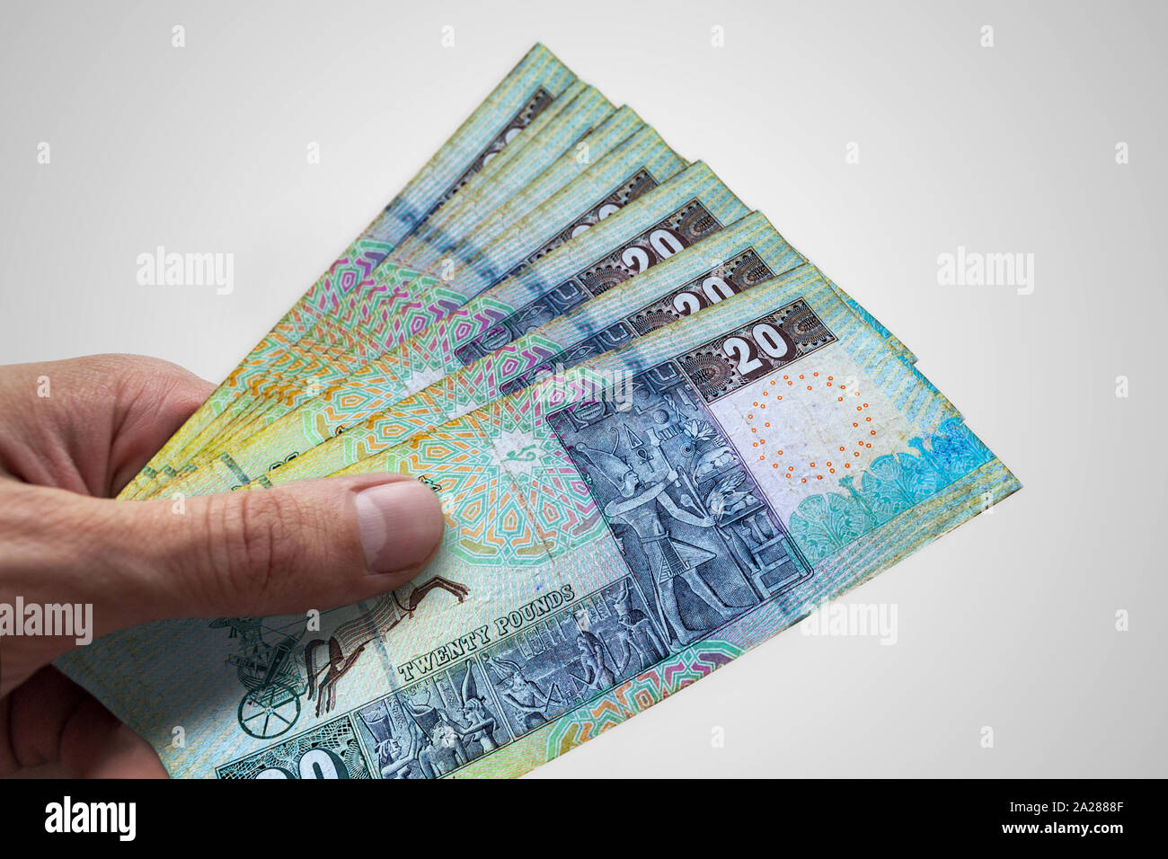 Hand holding Egyptian Pounds. EGP. Currency of Egypt Stock Photo - Alamy