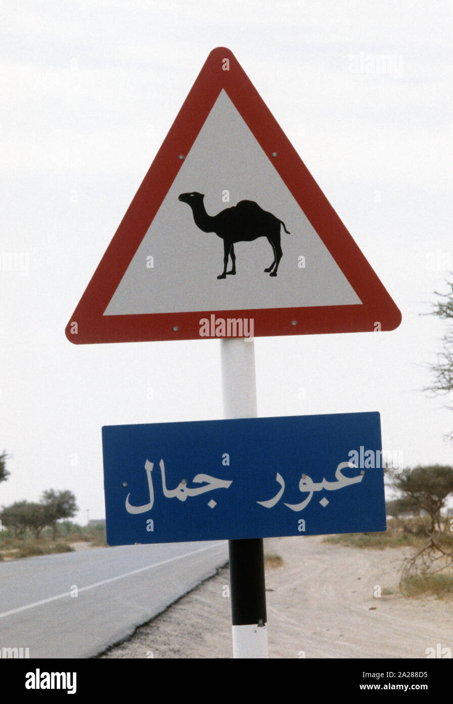 Camel crossing road sign in Dubai, United Arab Emirates Stock Photo - Alamy