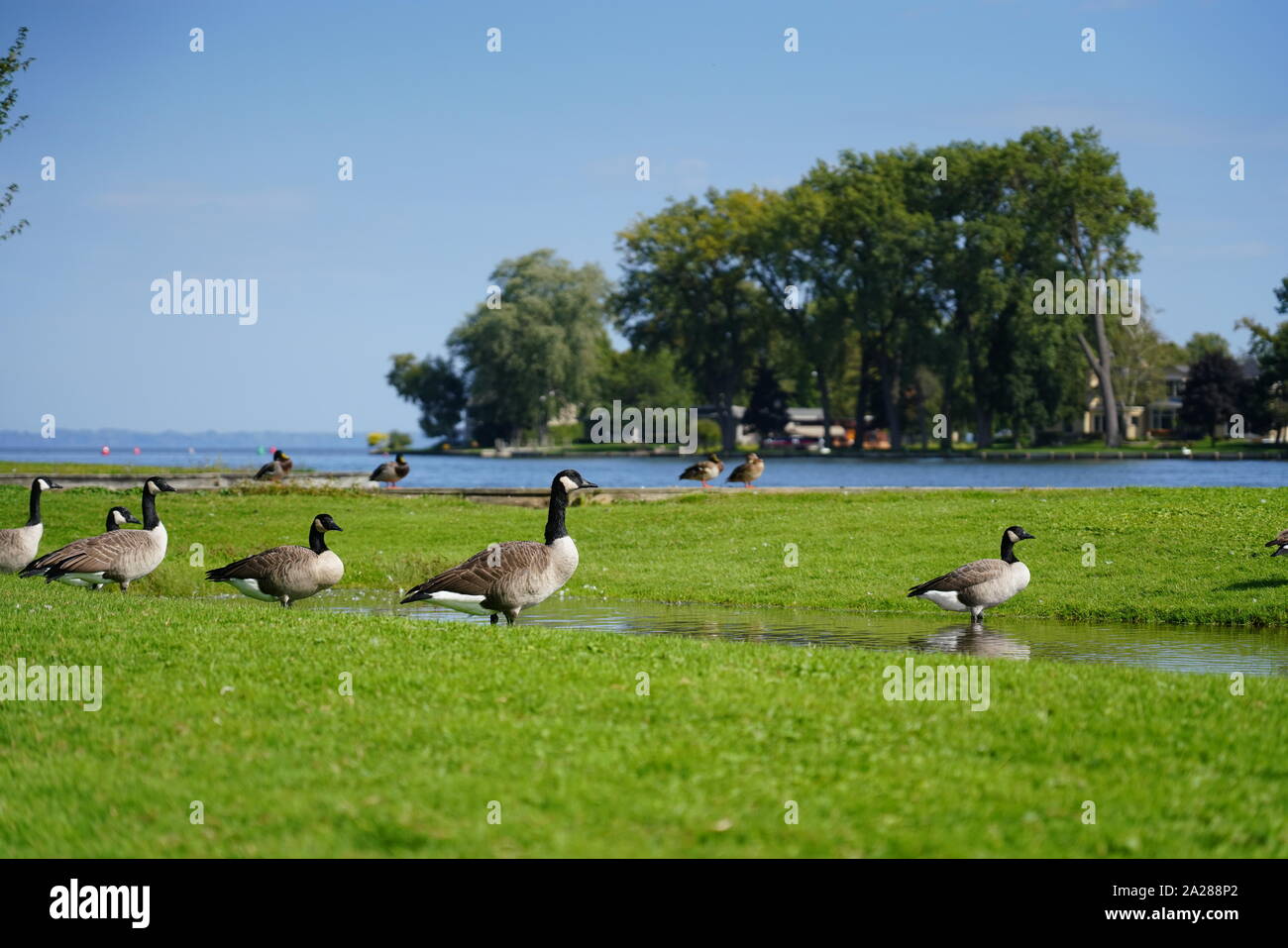 Doty park hi-res stock photography and images - Alamy
