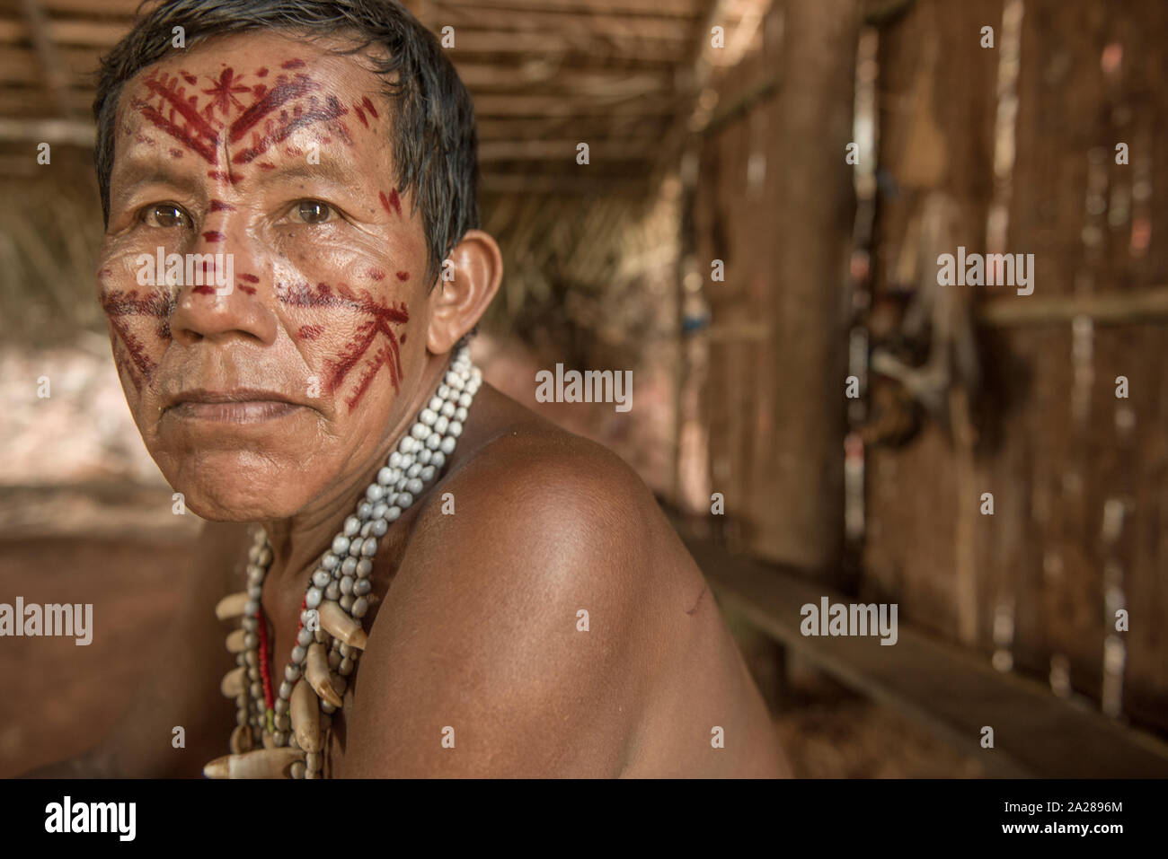 Amazonia brazil hi-res stock photography and images - Alamy