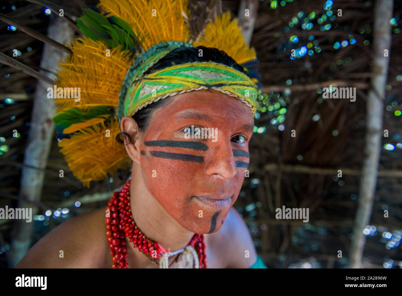 Brazil indigenous people face painting hi-res stock photography and ...
