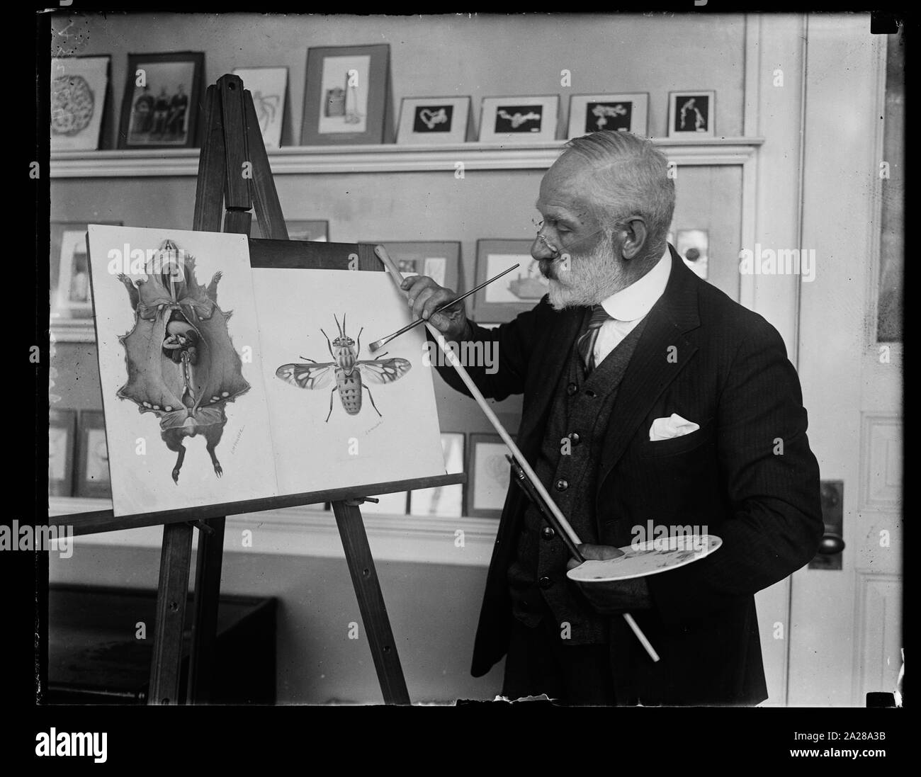 Prof. L.H. Wilder is assisting in the campaign against disease being ...