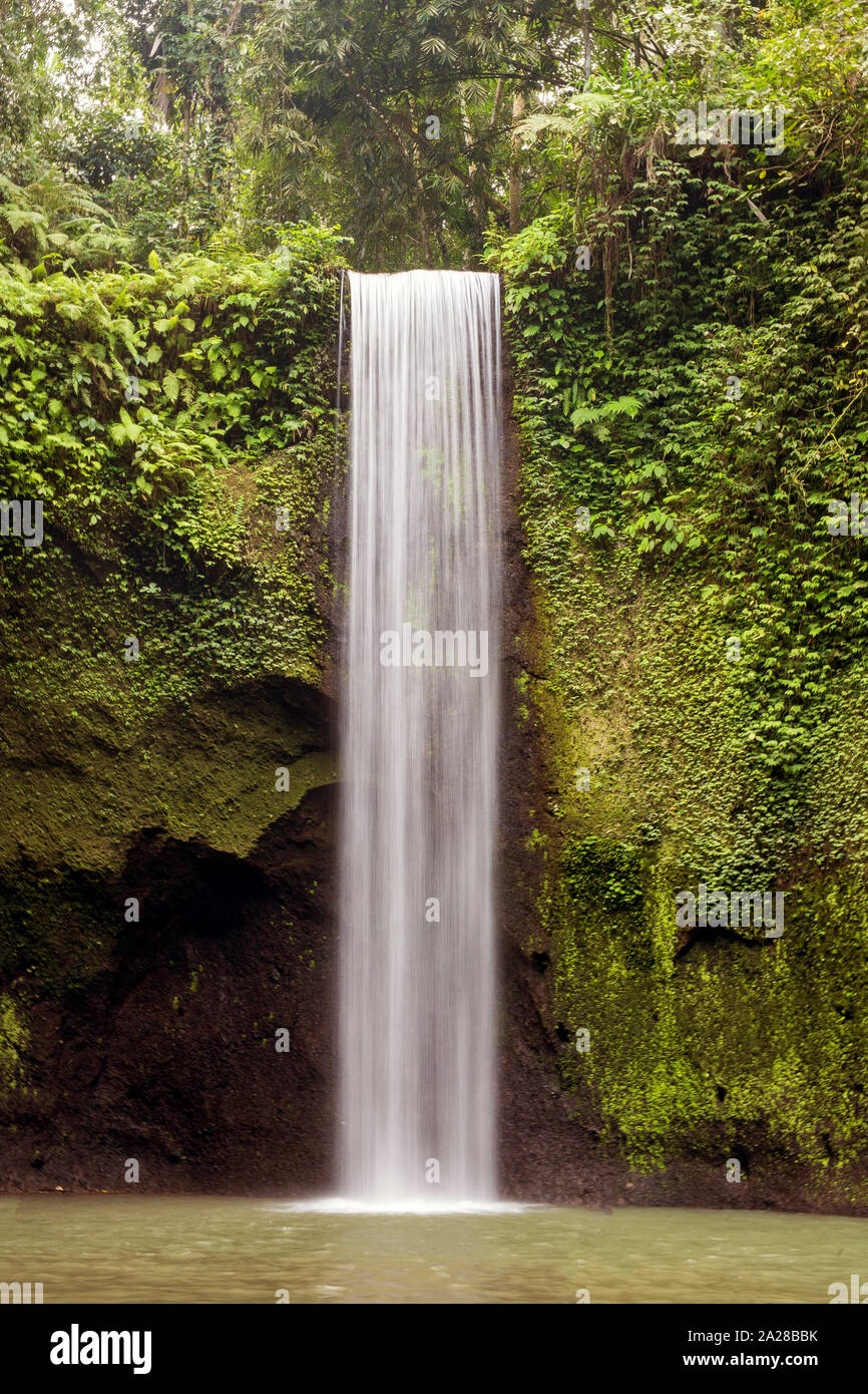 View of waterfall and greenish forest landscape, Rainforest in Bali ...
