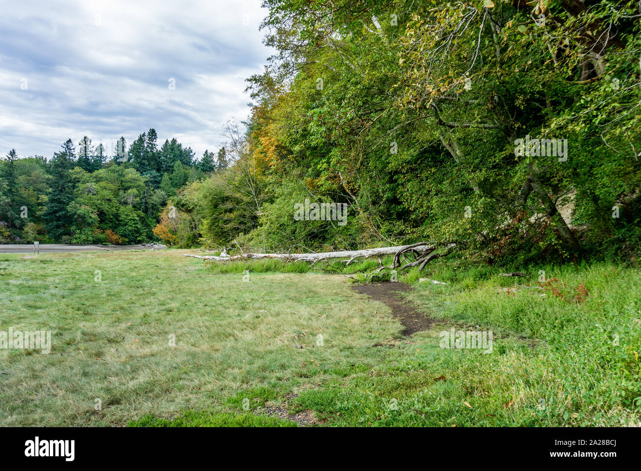 Priest point park hi-res stock photography and images - Alamy