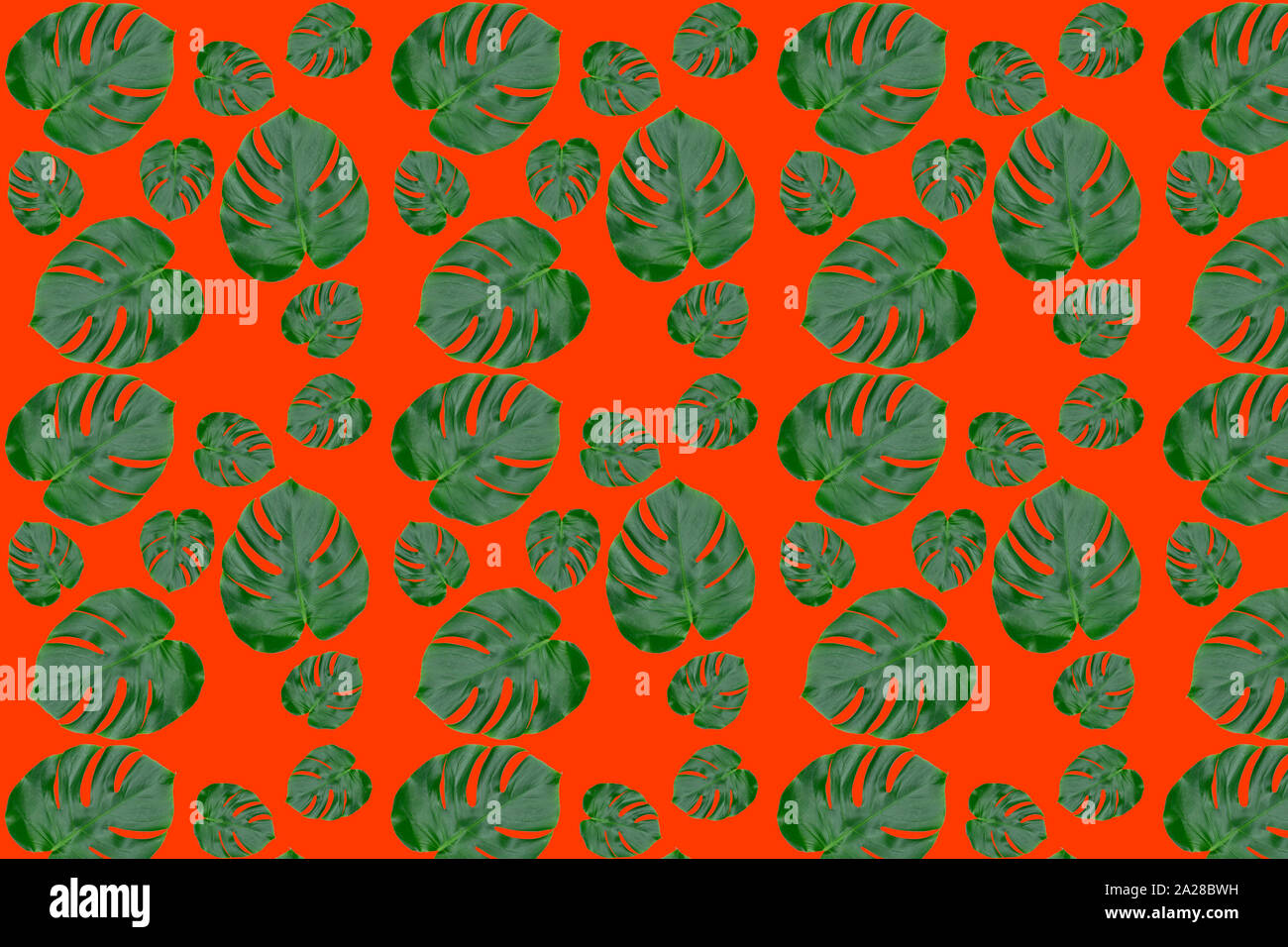 Monstera leaf seamless pattern. Tropical leaves on a bright scarlet ...