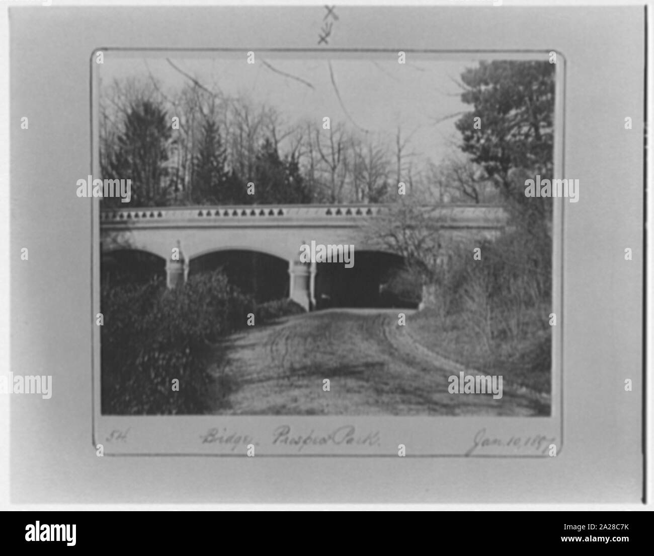 Public park trees playground Black and White Stock Photos & Images - Alamy