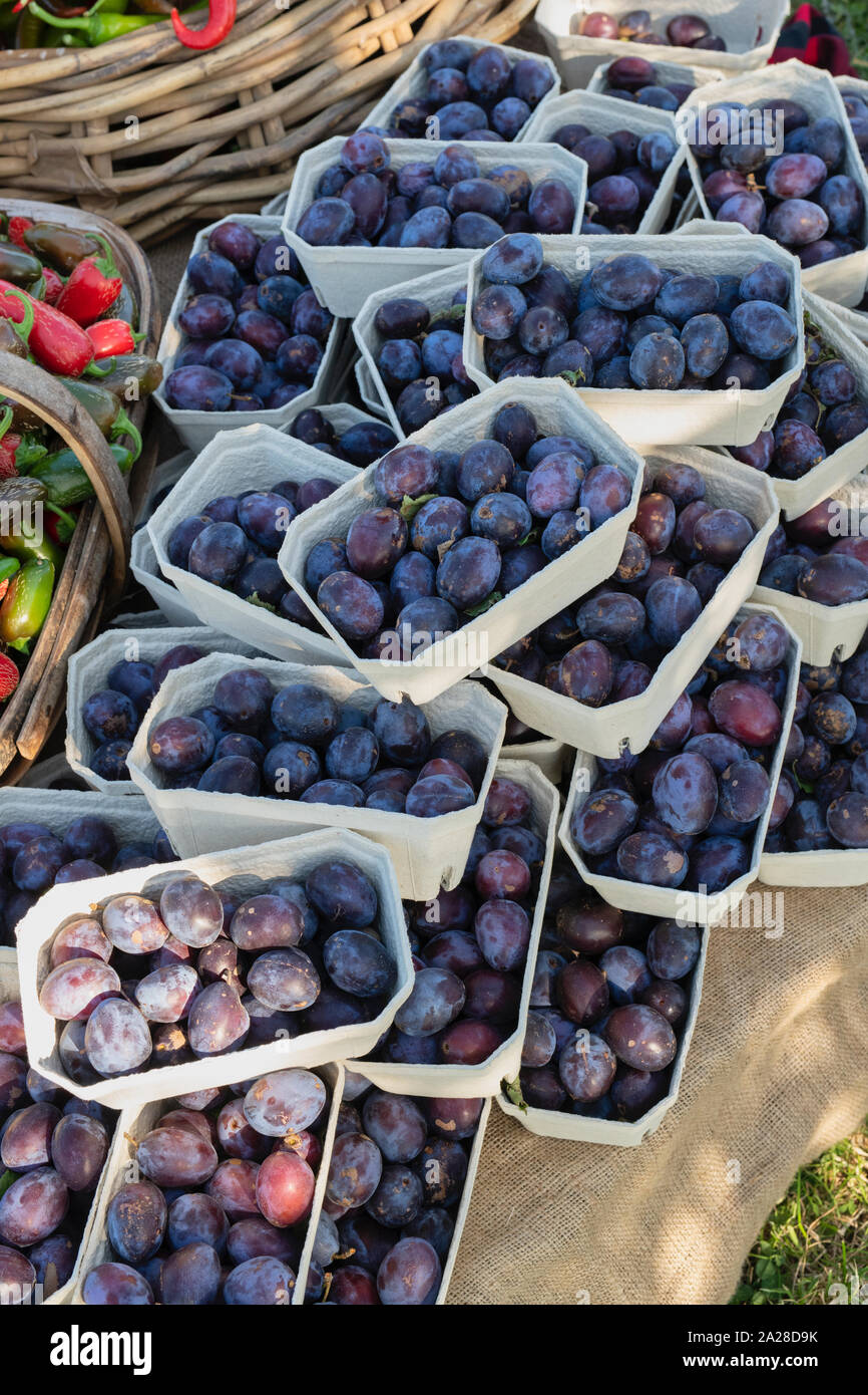 Chilli plums hi-res stock photography and images - Alamy