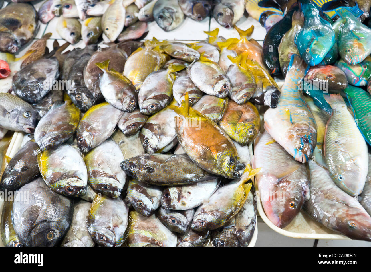 Asian fish shop hi-res stock photography and images - Alamy