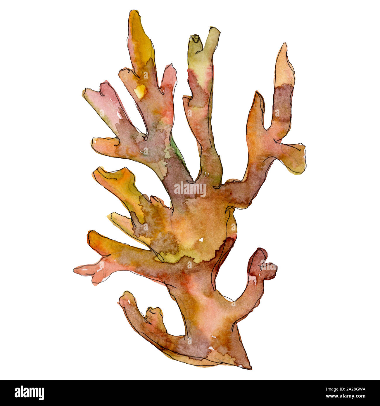 Orange aquatic underwater nature coral reef. Watercolor background set ...