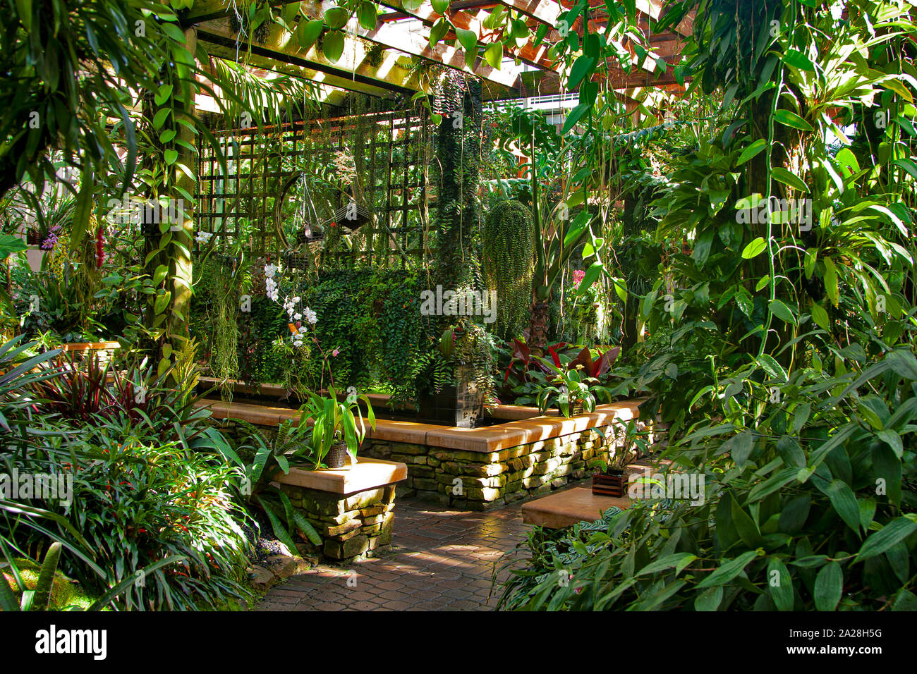 Atlanta Botanical Garden, Atlanta, Georgia Stock Photo - Alamy
