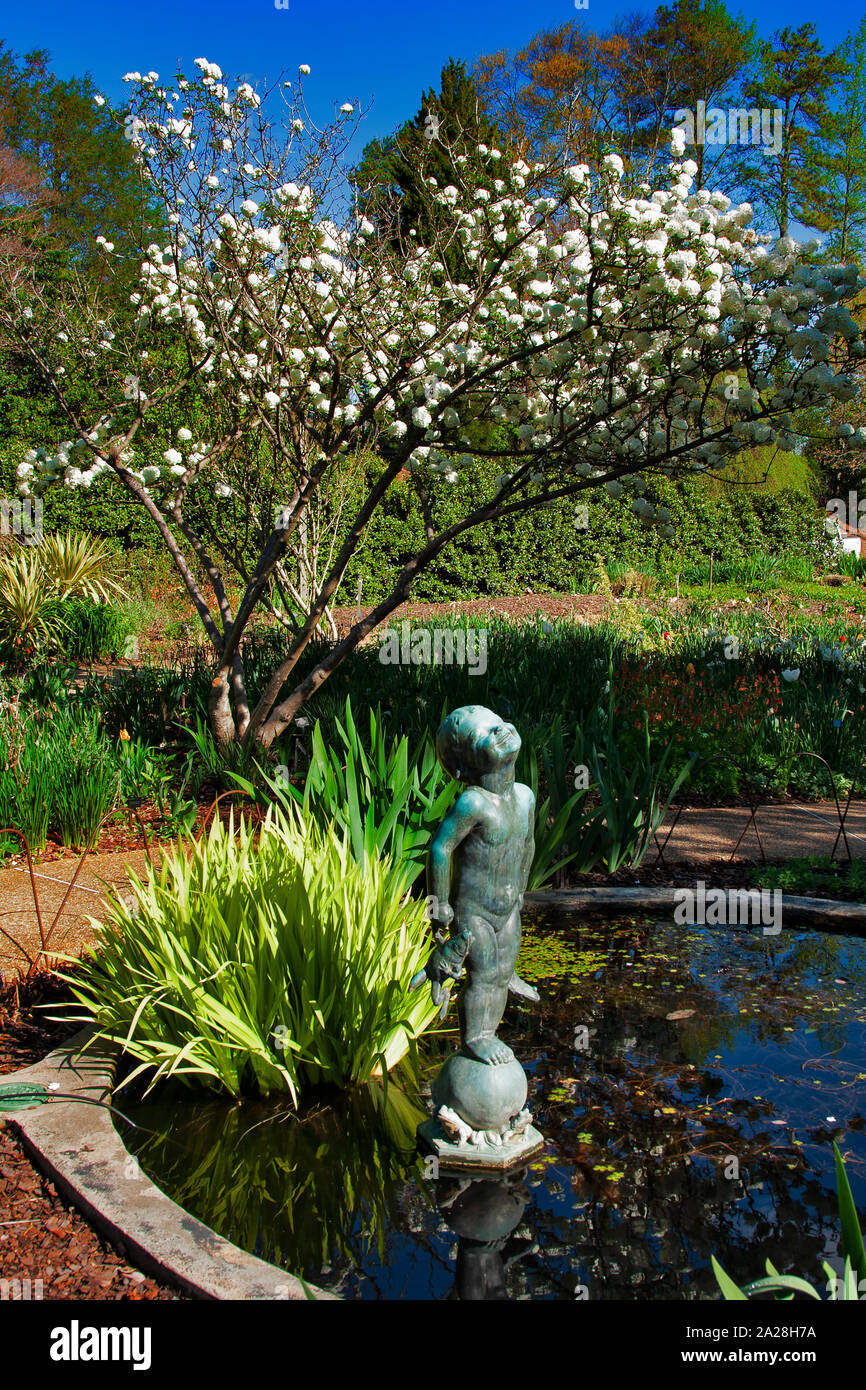 Atlanta Botanical Garden, Atlanta, Georgia Stock Photo - Alamy