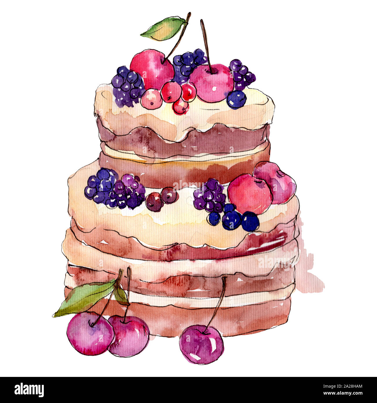 Cake Illustration