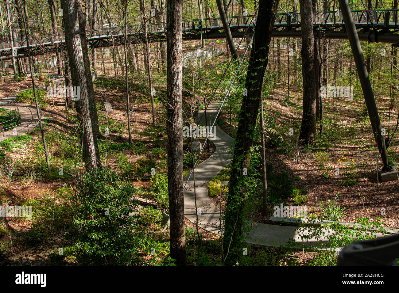 Atlanta botanical garden canopy walk hi-res stock photography and ...