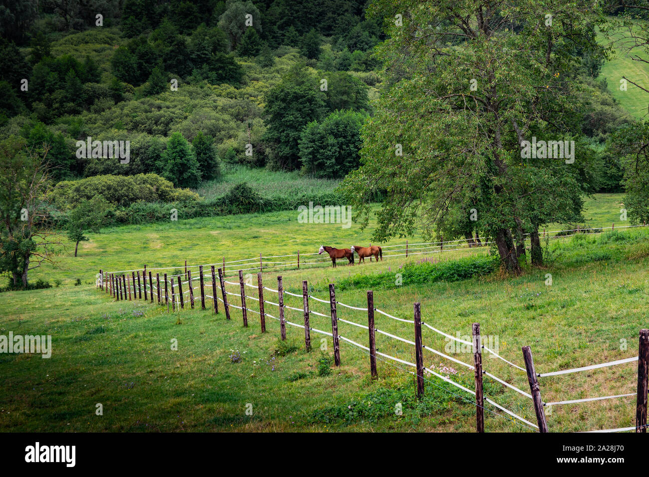 Horse farm field fence view hi-res stock photography and images - Alamy
