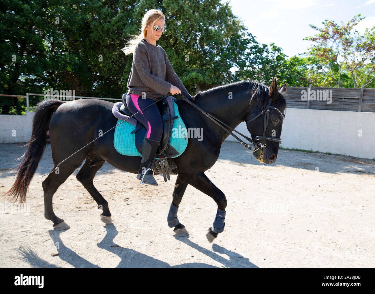 riding girl are training her black horse Stock Photo - Alamy