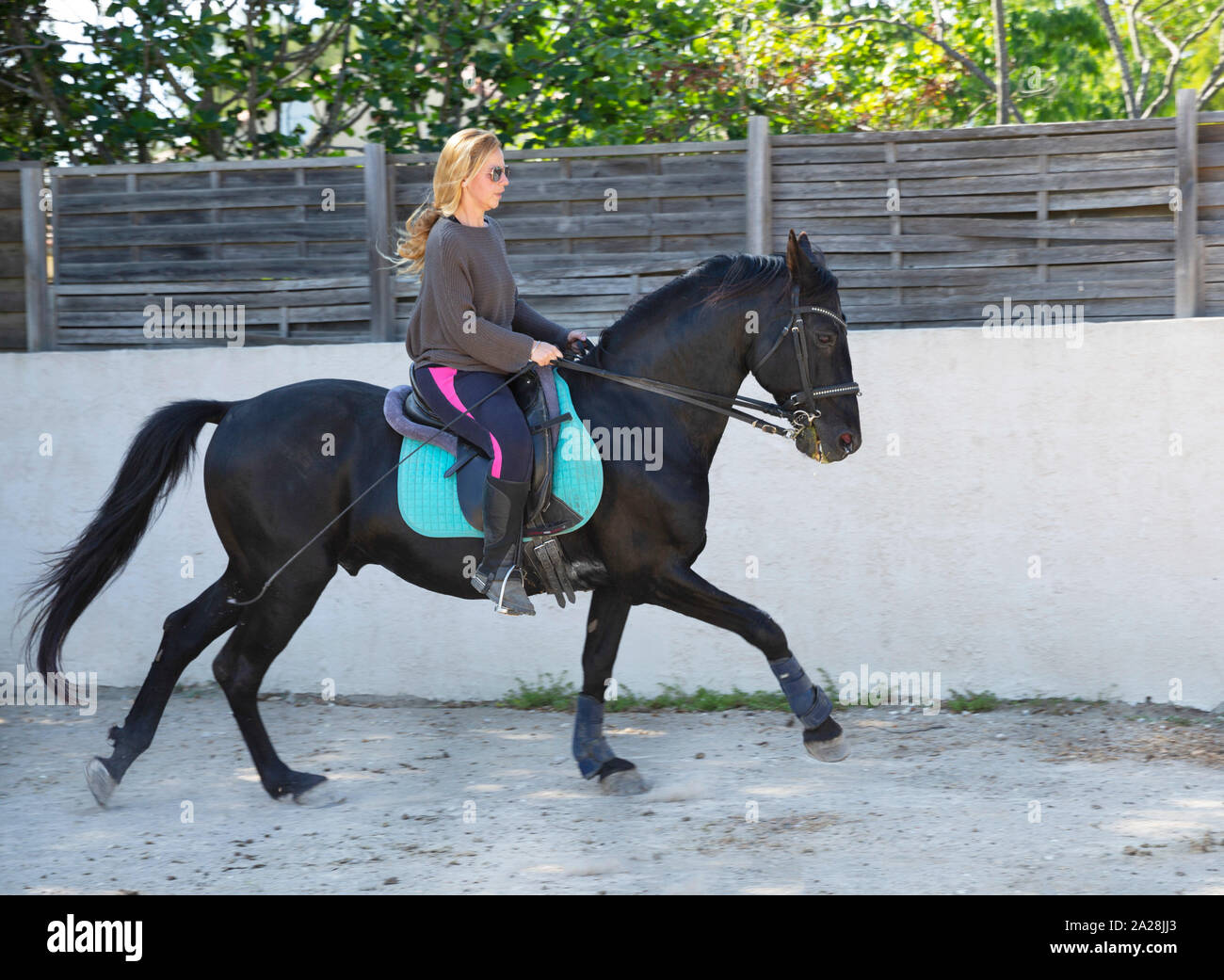 riding girl are training her black horse Stock Photo - Alamy