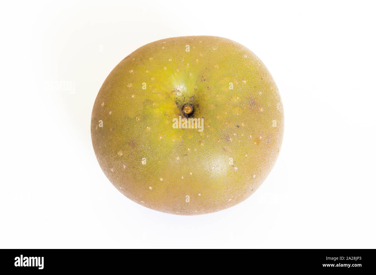 Russet Apple Fruit Variety On A White Background Stock Photo - Alamy