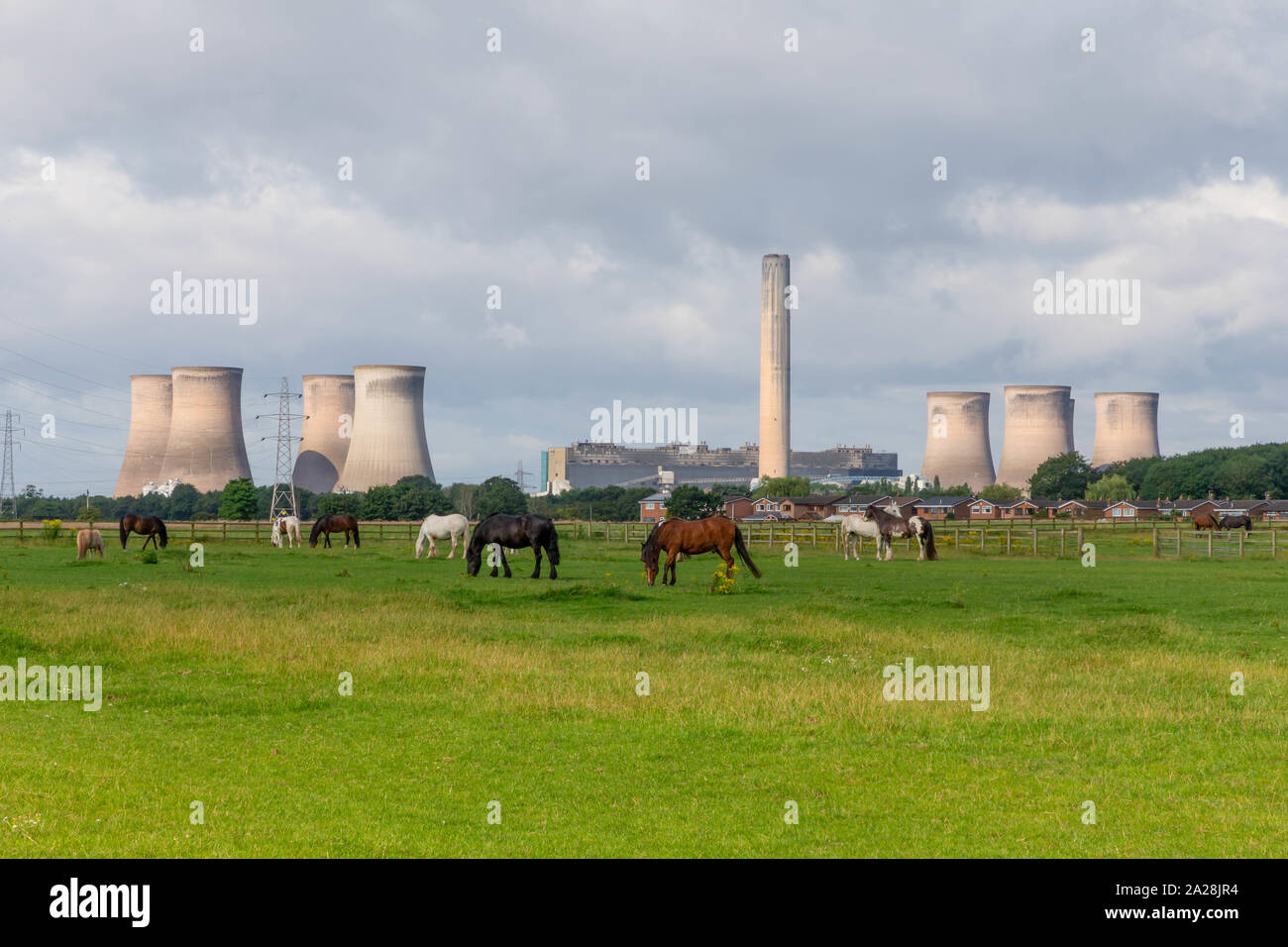 Fiddlers Ferry Power Station across a horse-filled valley from St Helen ...