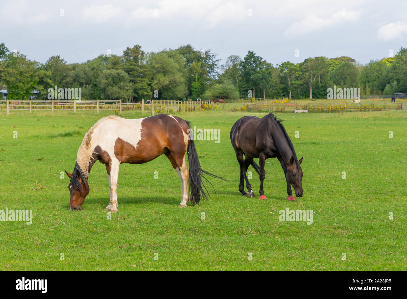 Widnes cheshire countryside hi-res stock photography and images - Alamy