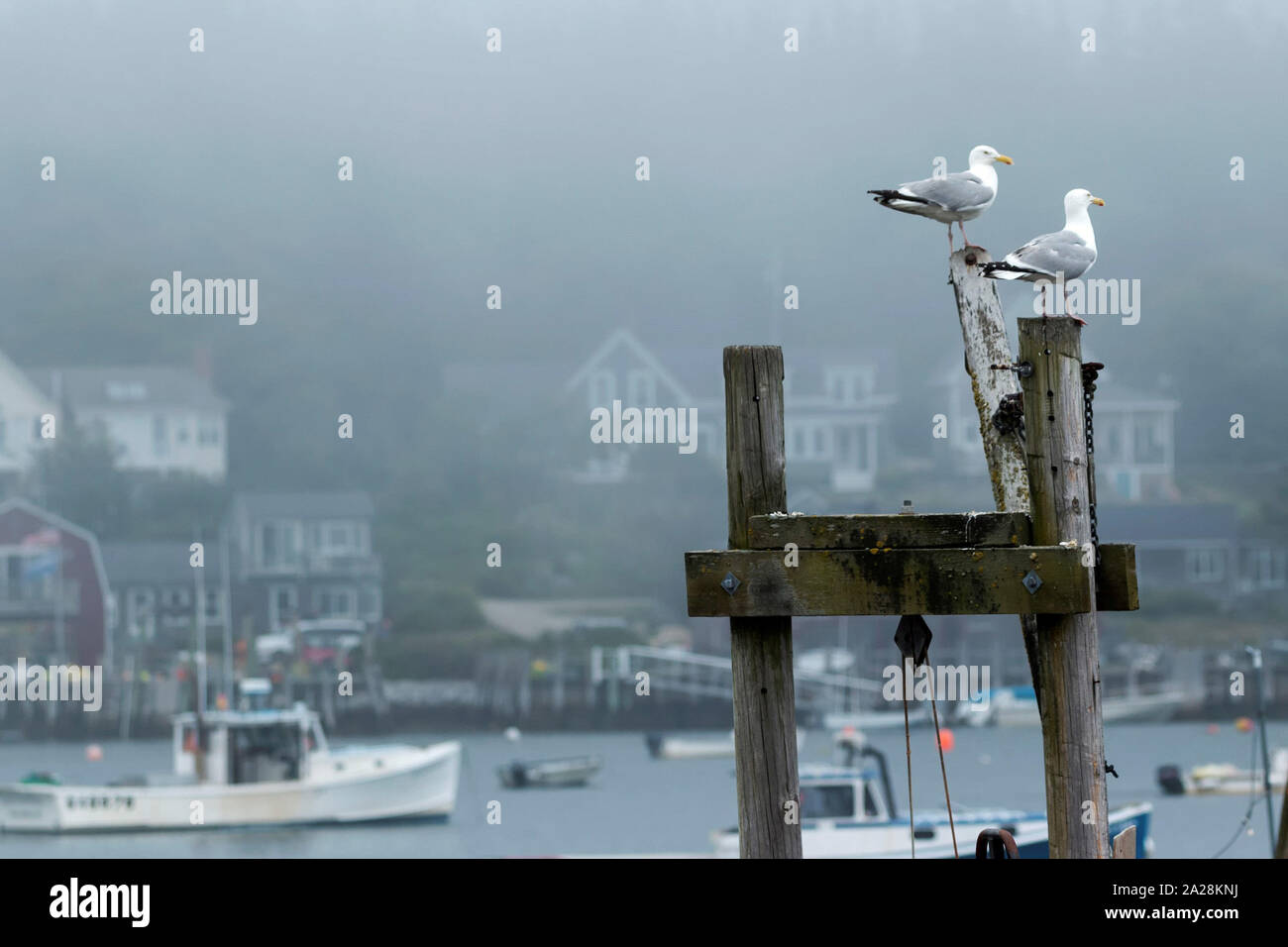 Vinalhaven maine hi-res stock photography and images - Alamy