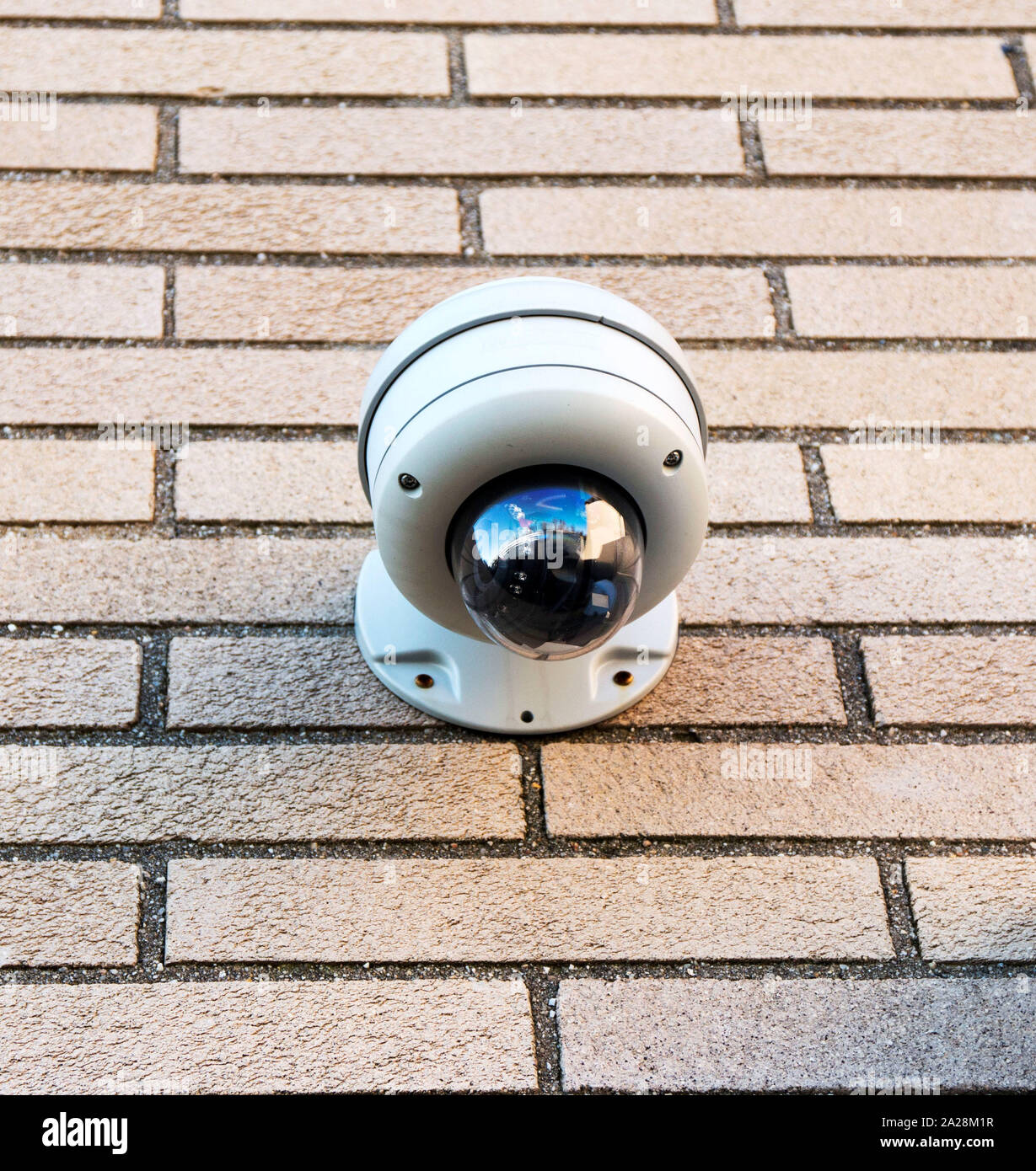 Sucurity hi-res stock photography and images - Alamy