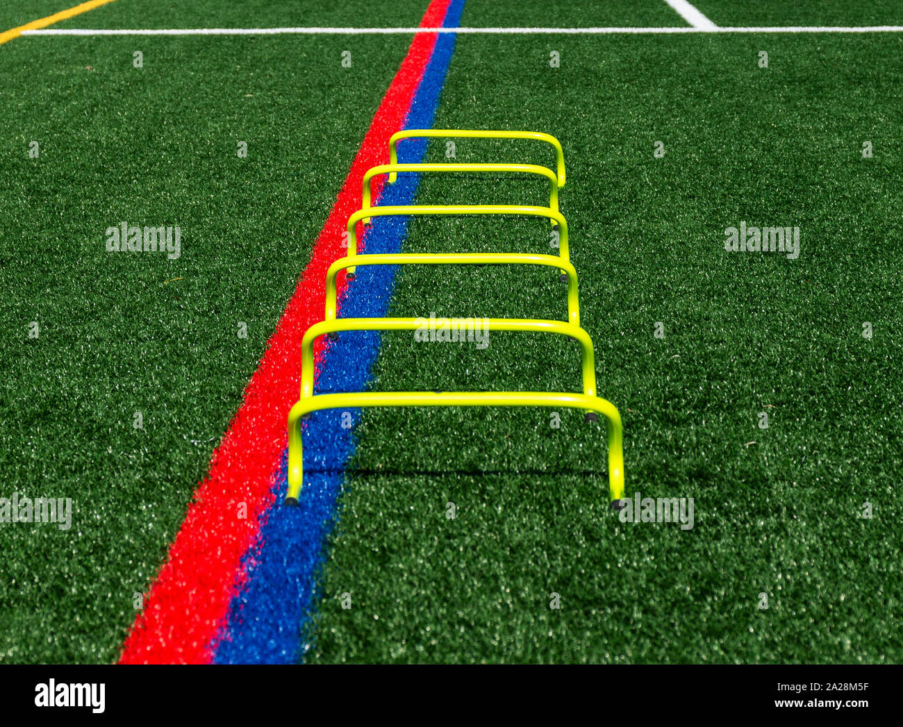 six inch yellow mini hurdles are set up on a green turf field for speed and agility practice ...