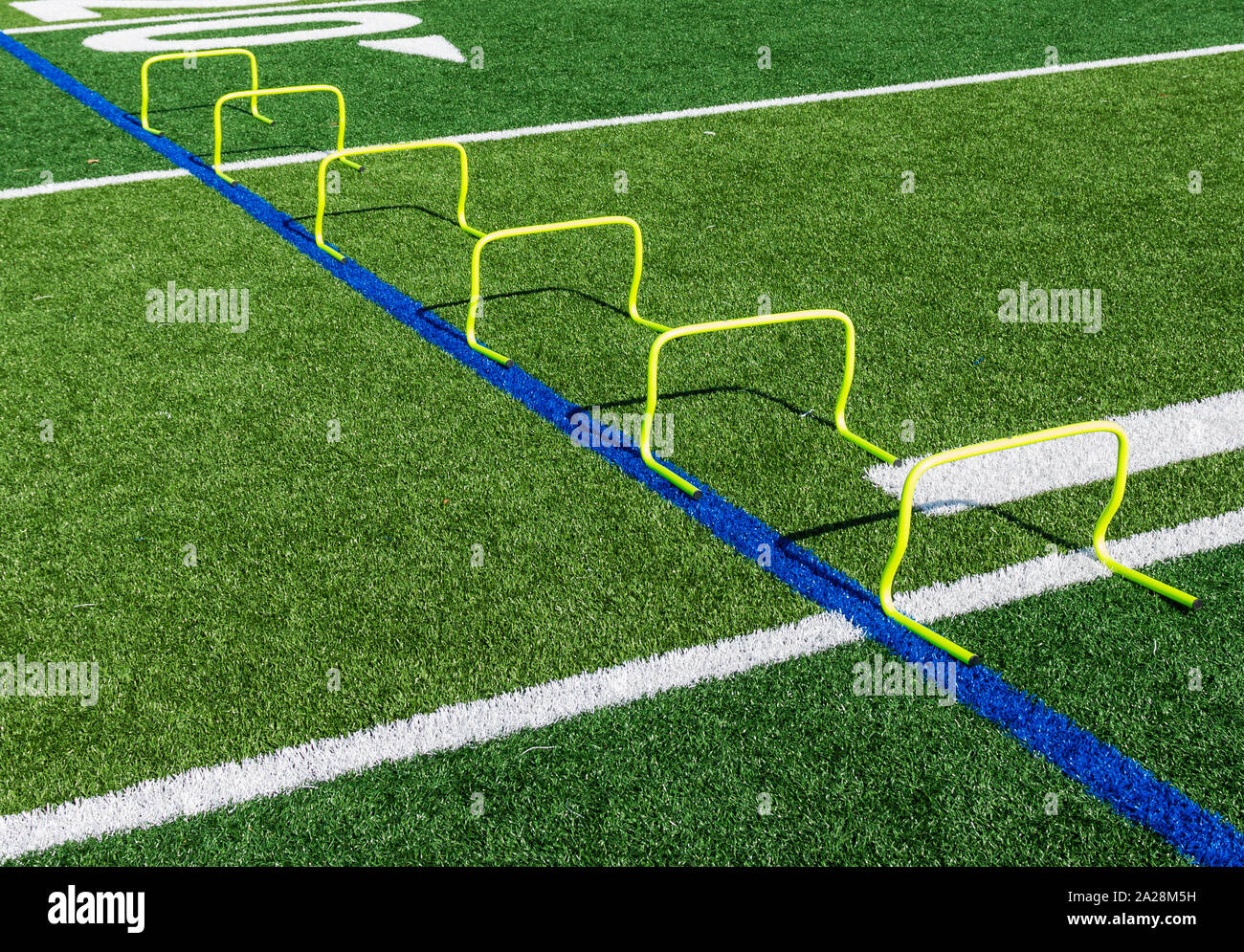 Six yellow mini hurdles are set up on a turf field as part of apeed and agility training Stock ...