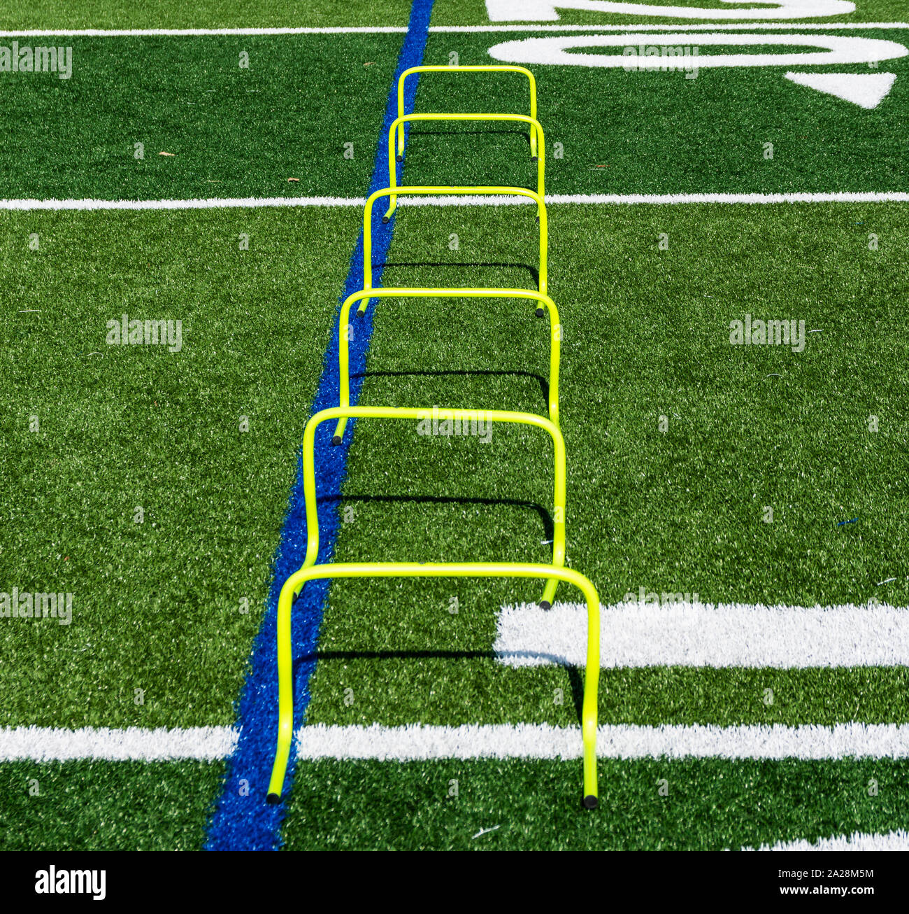 Six yellow mini hurdles are set up on a green turf field as part of a teams speed and agility ...