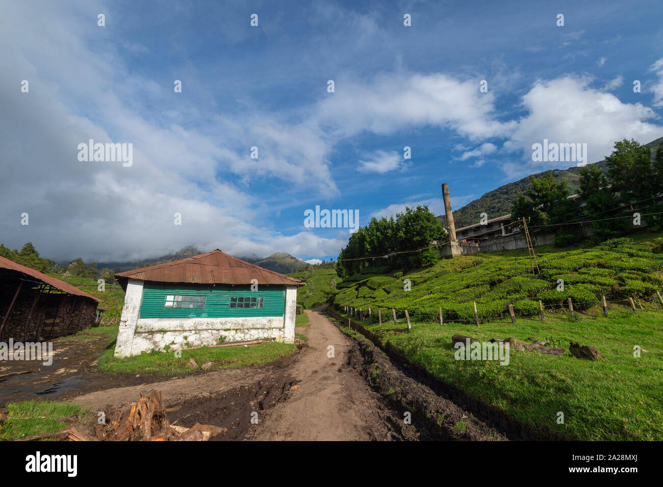 Workers residential Colony at Tea Plantation at Munnar,Kerala,India ...