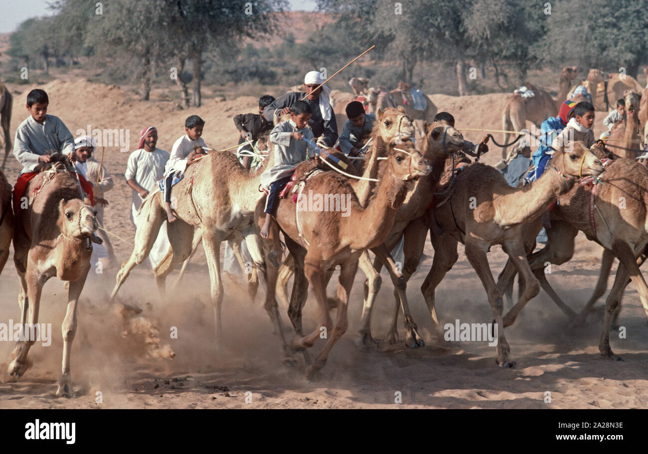 Desert camel racing, Dubai, United Arab Emirates Stock Photo - Alamy
