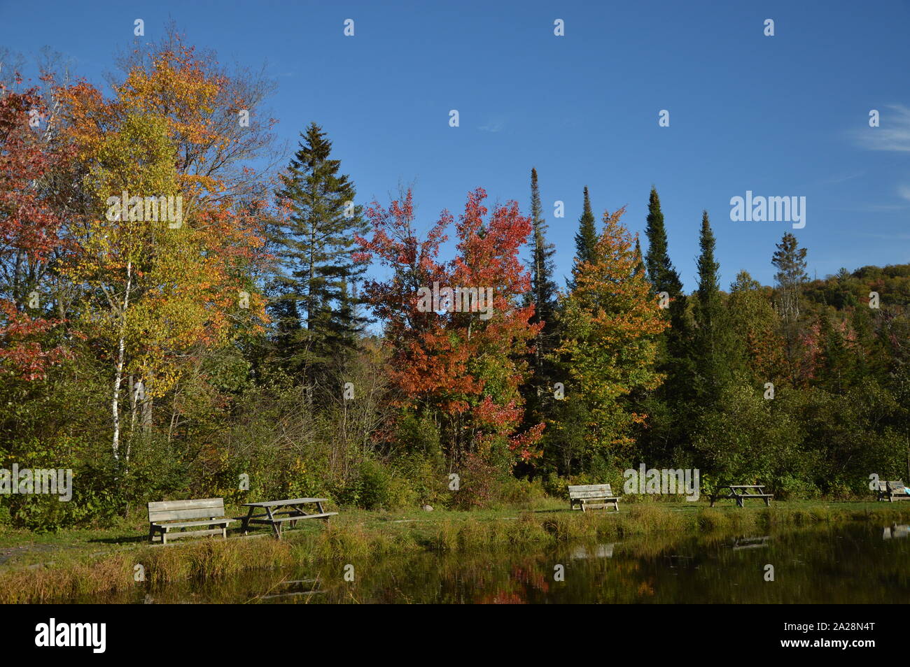 Fall season in Quebec Stock Photo - Alamy