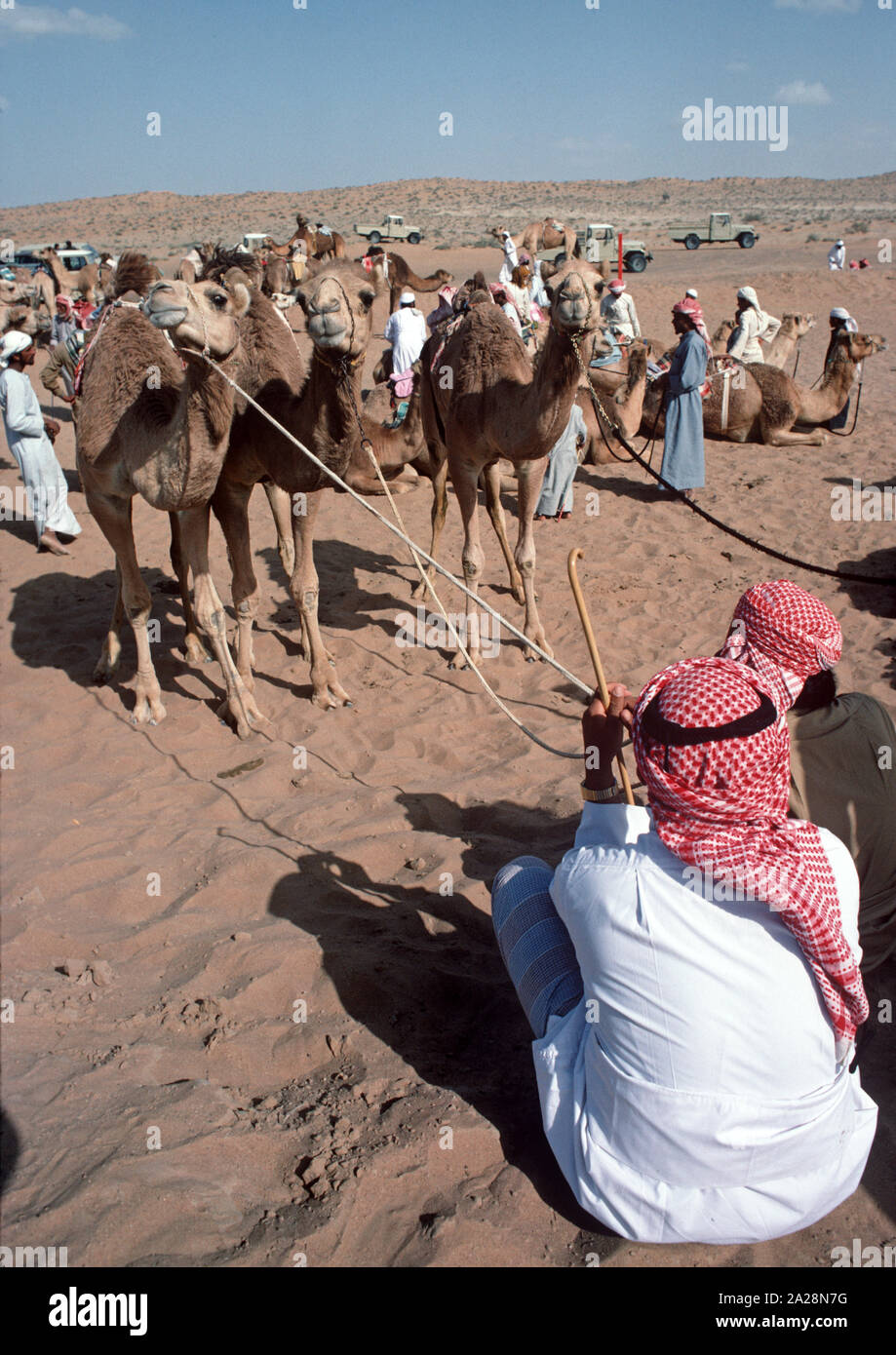 Racing camel owner at Dubai desert camel race, United Arab Emirates ...