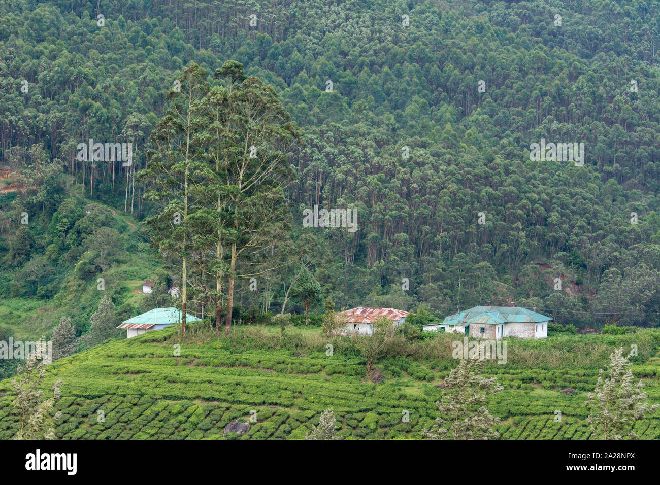 Asia workers rain protection hi-res stock photography and images - Alamy