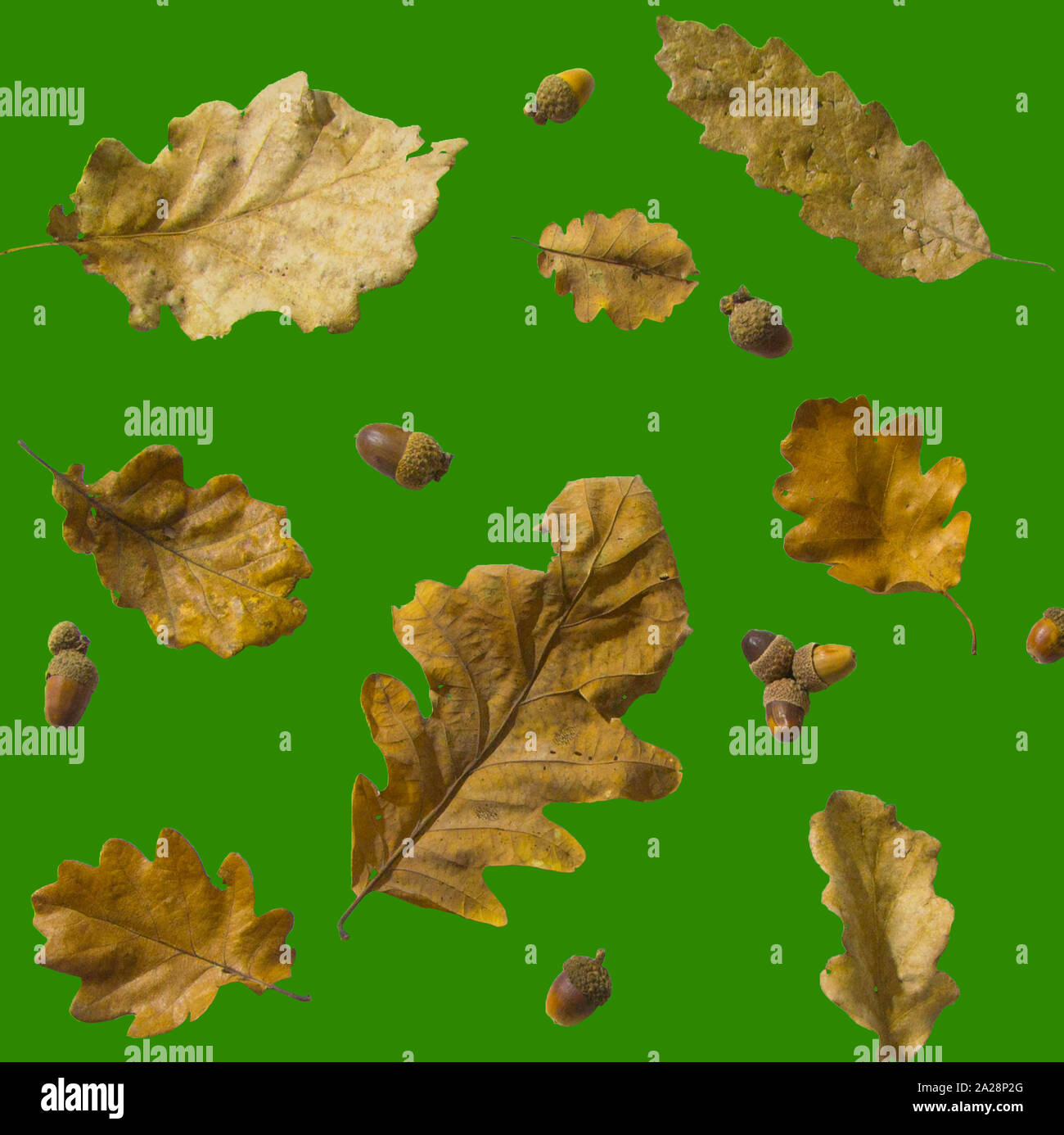 Green abstract backgrond hi-res stock photography and images - Alamy