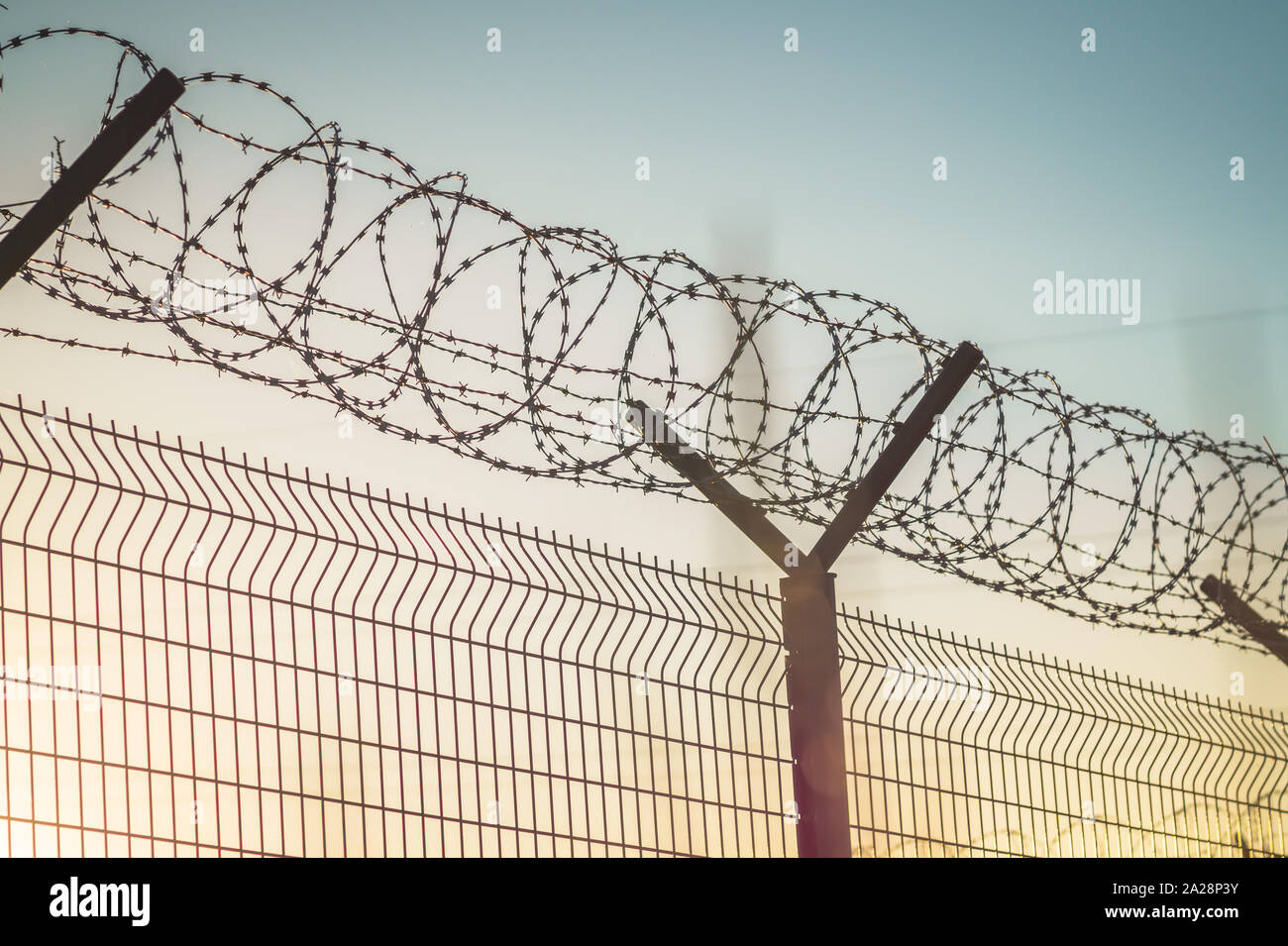 Barbed wire steel fence against the immigration in europe. Restricted ...