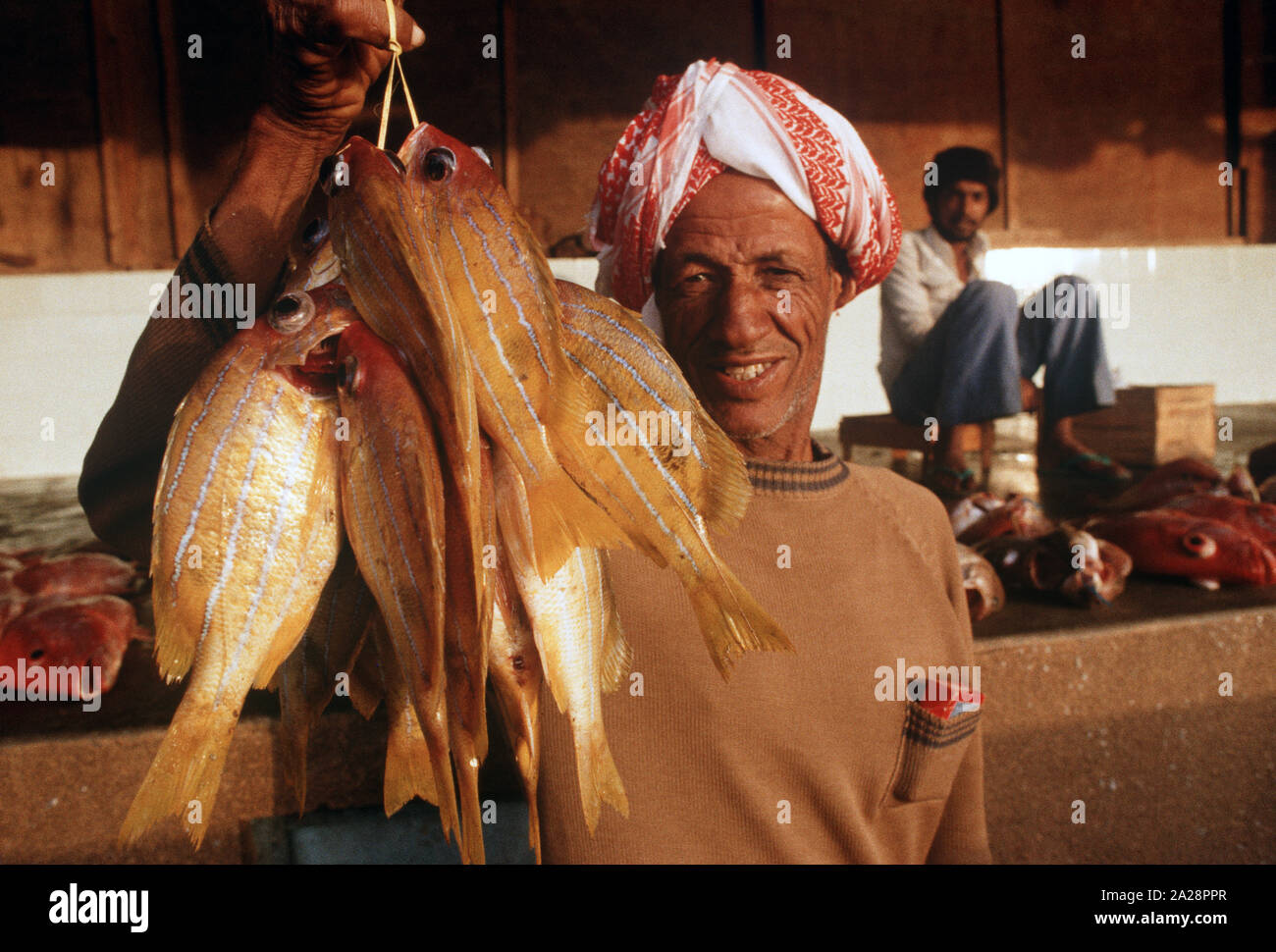Dubai fish market, Dubai, United Arab Emirates, UAE Stock Photo - Alamy