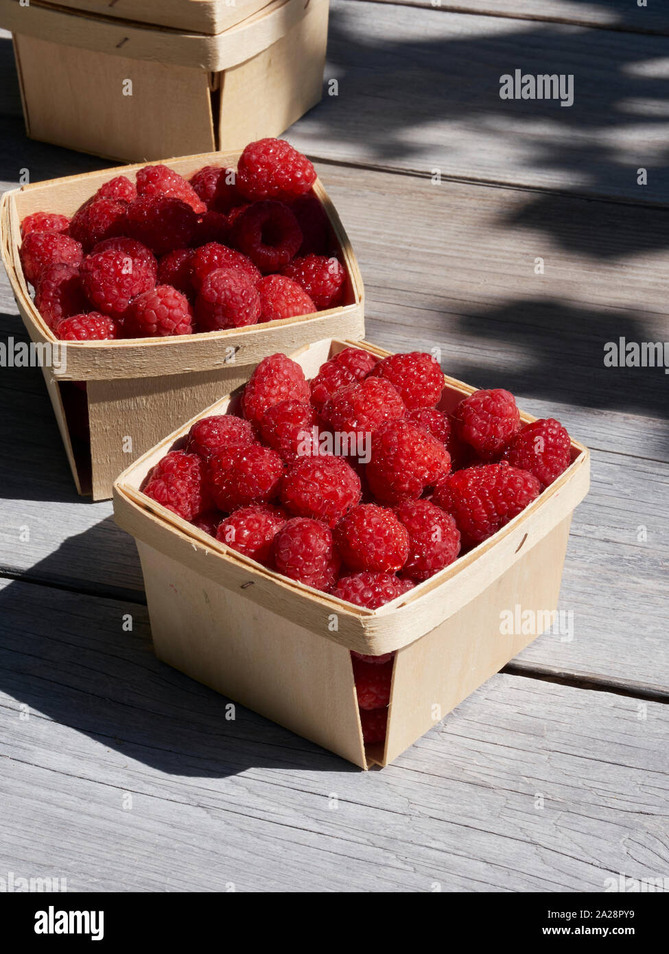 Small baskets of farmers market ready pints, 550ml, of freshly picked ...