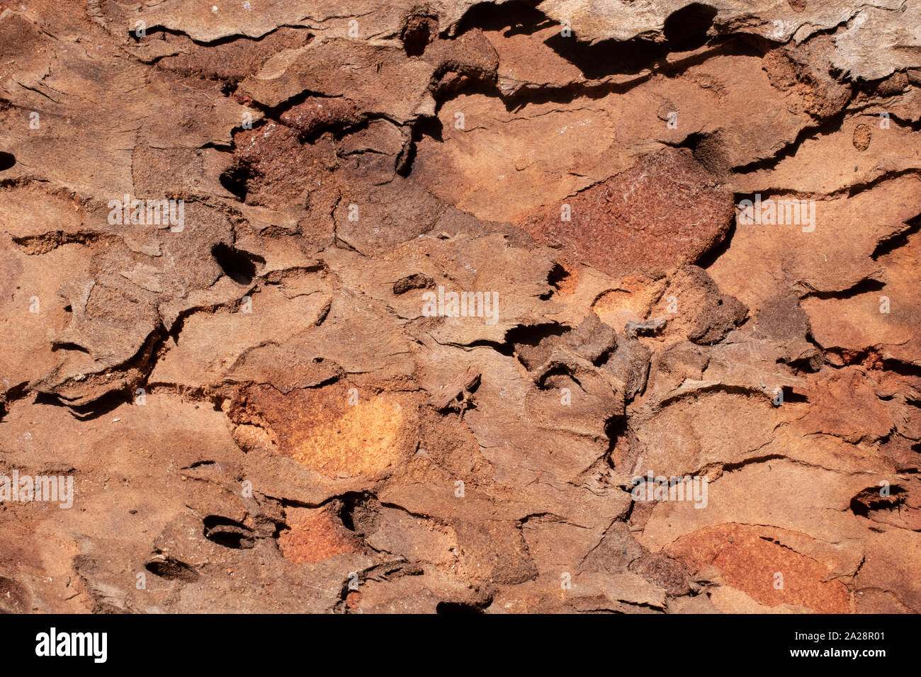 Flakey hi-res stock photography and images - Alamy