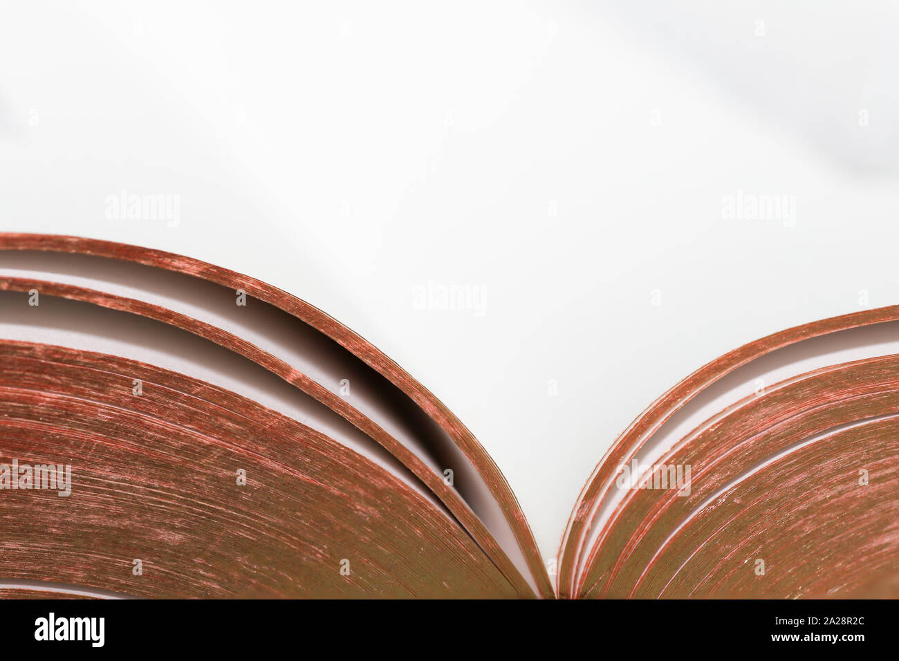 Macro over bible pages, open book with gold gilded pages Stock Photo ...