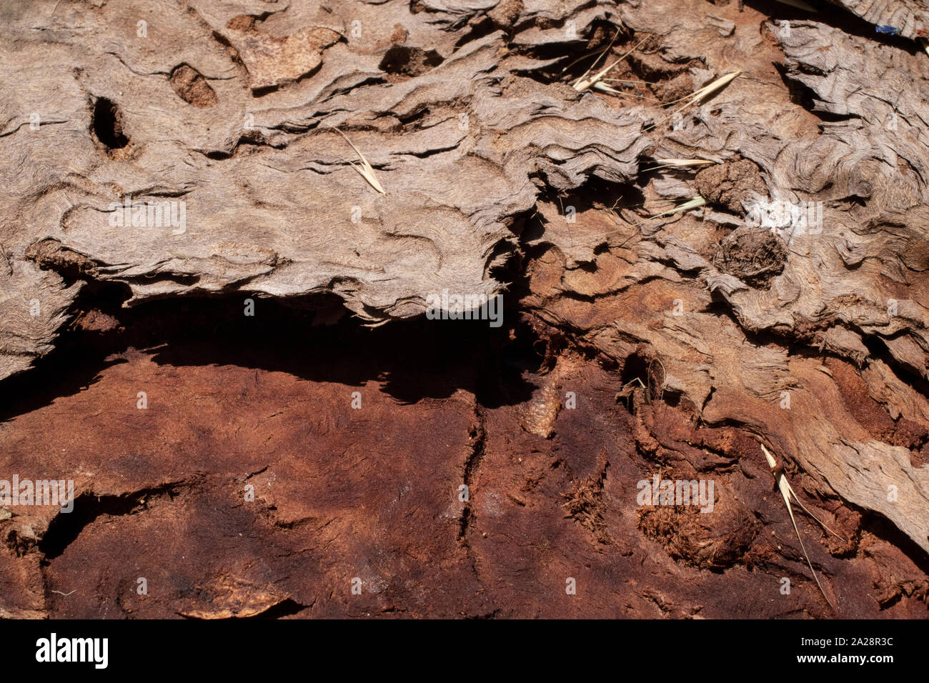 Flakey hi-res stock photography and images - Alamy