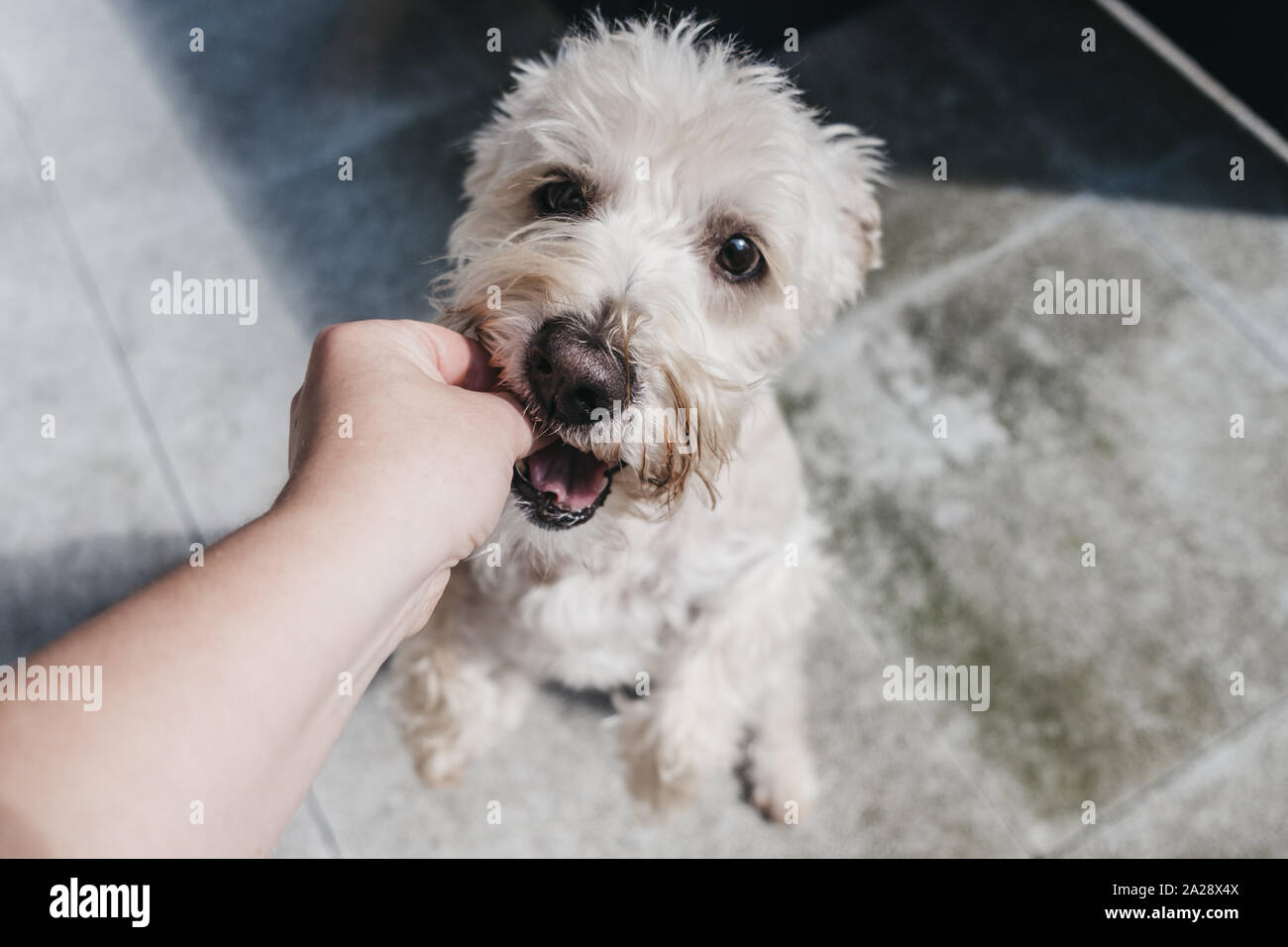 Grabbing motion hi-res stock photography and images - Alamy