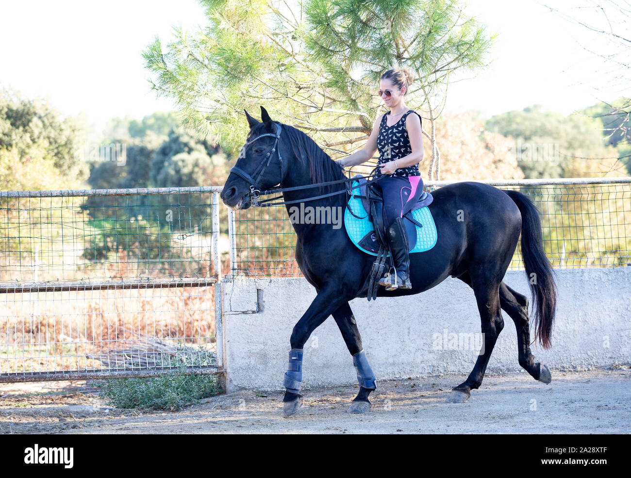 riding girl are training her black horse Stock Photo - Alamy