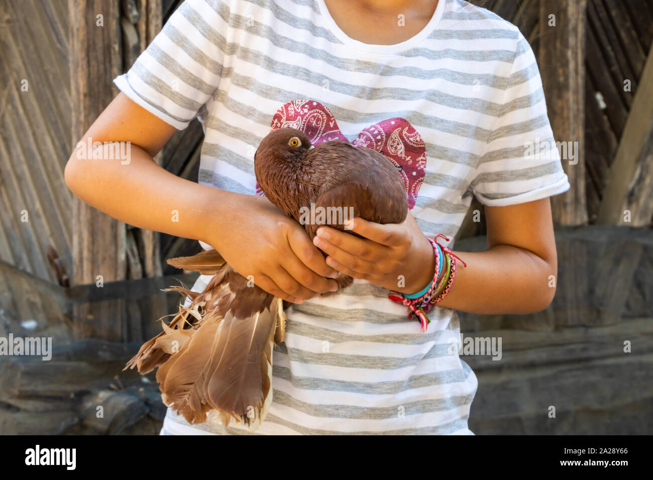 Bird child pigeon hi-res stock photography and images - Alamy