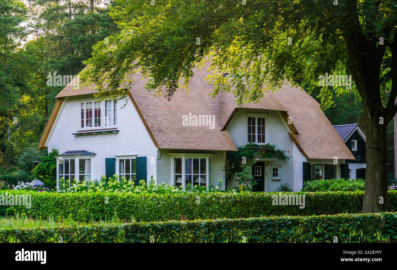 Thatched Roof House